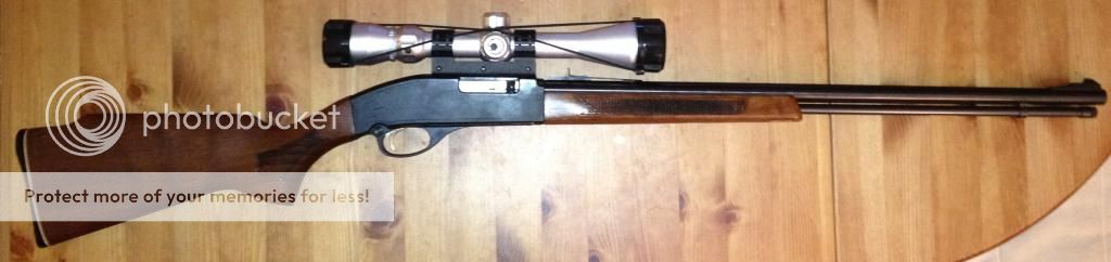 Marlin Picture Thread | Page 30 | Rimfire Central Firearm Forum