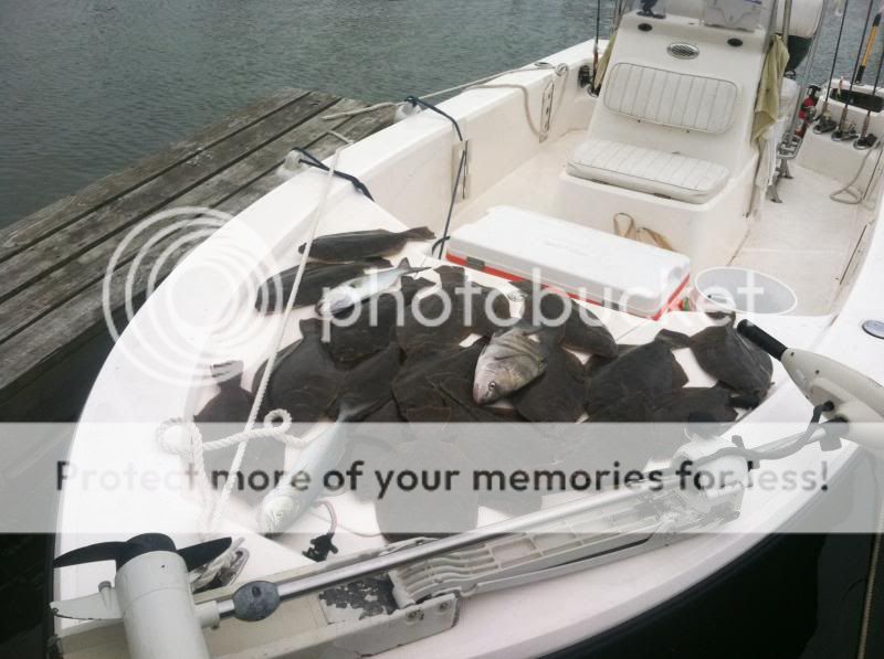 2006 Mako 1801 w/ Mercury Optimax 115 | BASS BARN