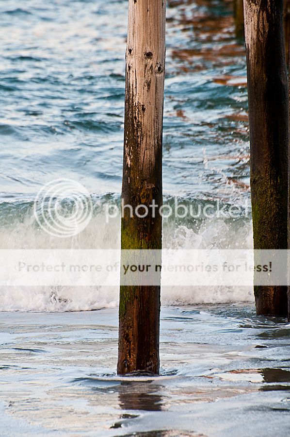Shots around FishHeads this afternoon | OBX Connection Message Board