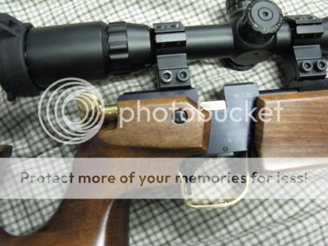 My CZ 200T - Canadian Airgun Forum