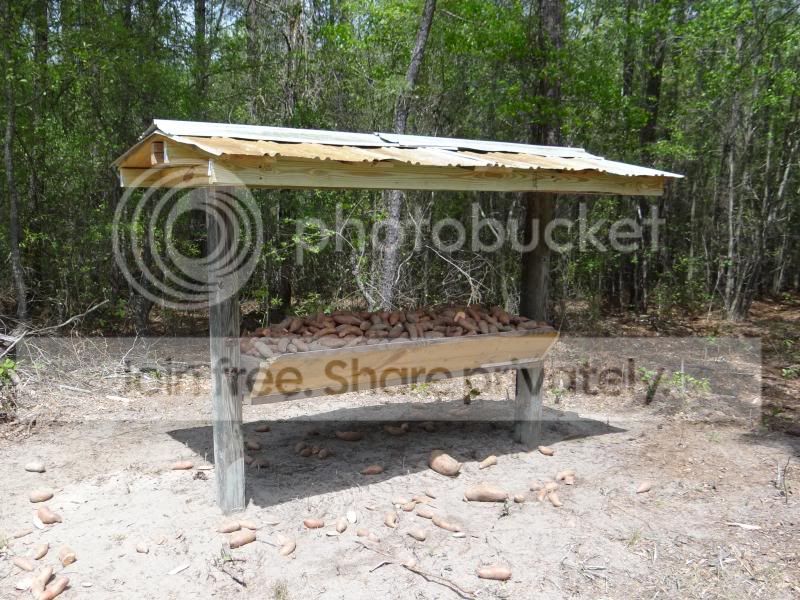 Has anyone made a covered feed trough? | Archery Talk Forum