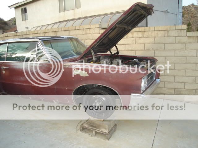 Has anyone fit a Victor intake under a stock 64 GTO hood? - PY Online ...