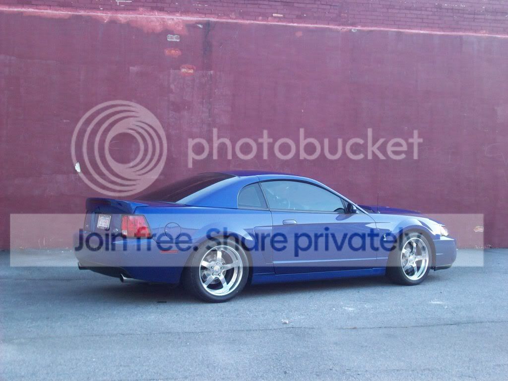 My True Forged Mach 5's and Sonic Blue Cobra........Yea......:) | Ford ...